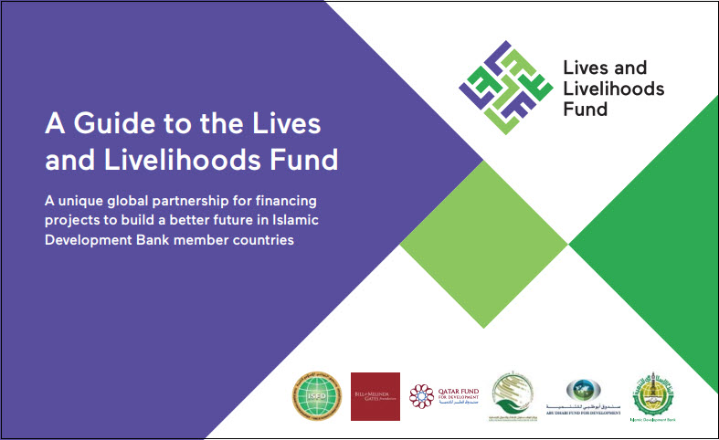 The Lives and Livelihoods Fund