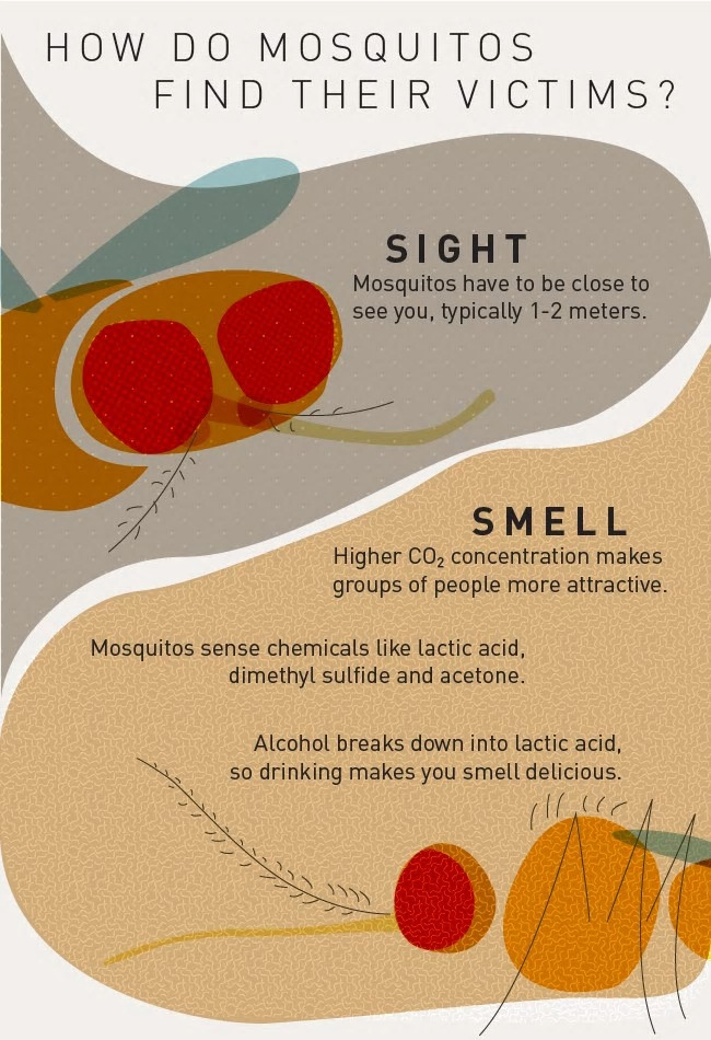 Eradicating Mosquitoes: Unleash High-Tech Solutions by Thinking Like ...