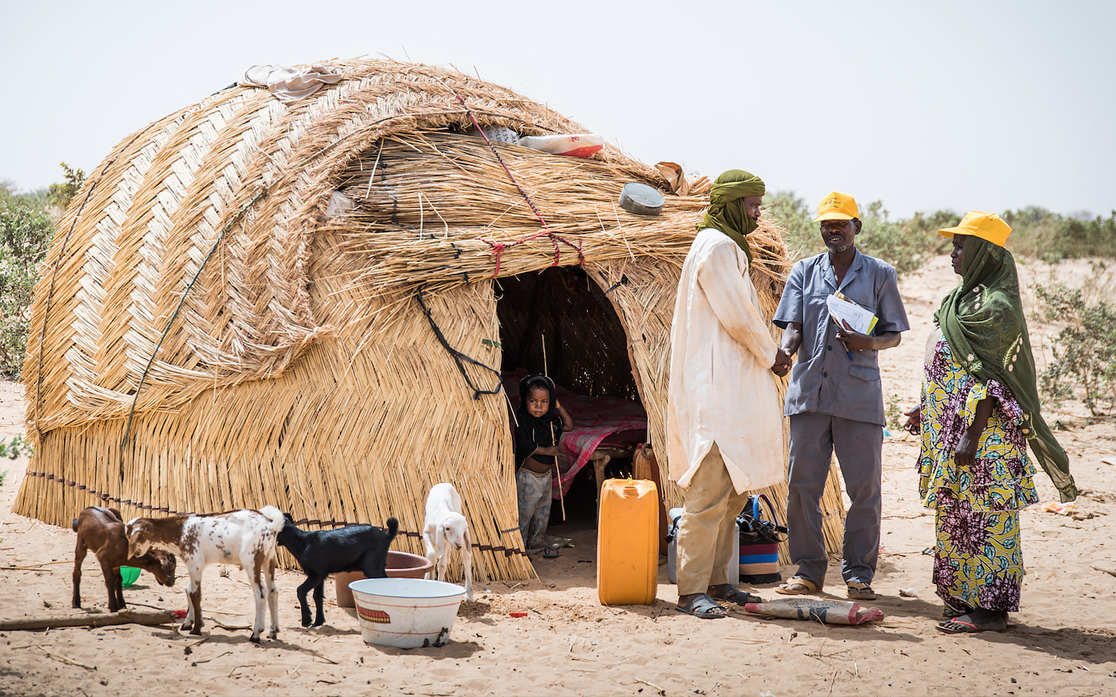 Polio - Myths About Eradication