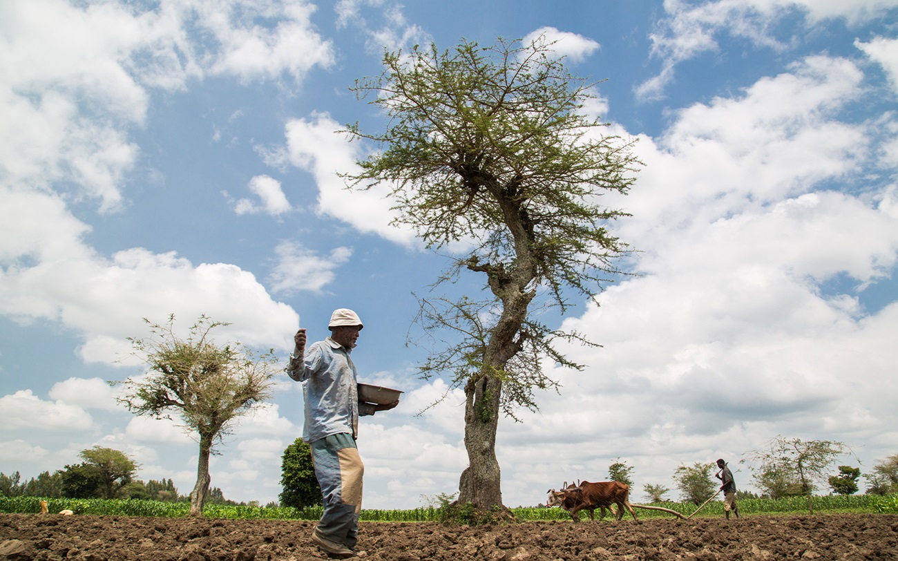 Malaria - Eradication, Prevention, Through Innovation & Data