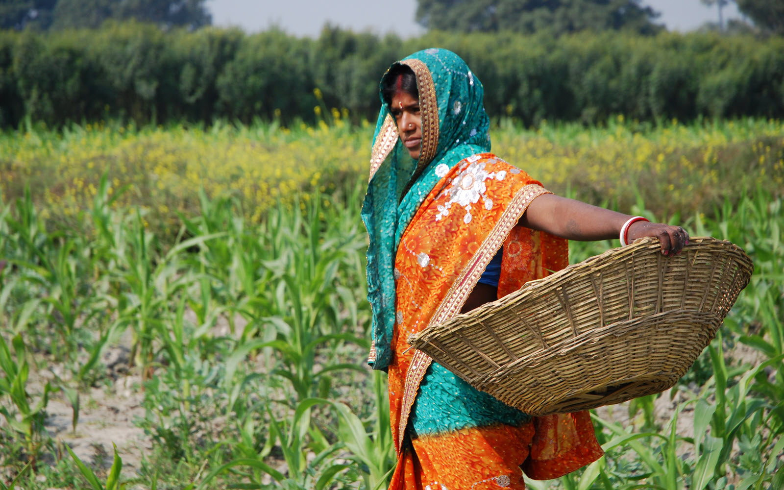Smallholder Farming & How Climate Change Impacts Small Farms | Bill ...