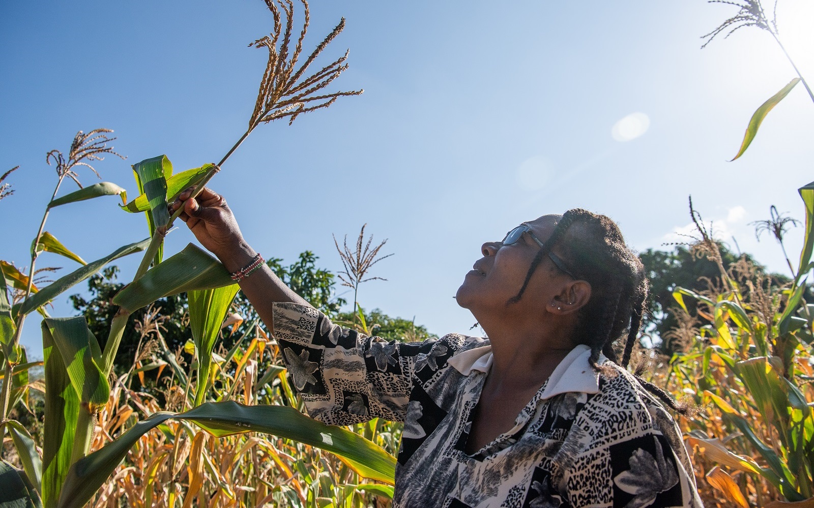 Defining Climate Adaptation Amid Rising Temps | Bill & Melinda Gates ...