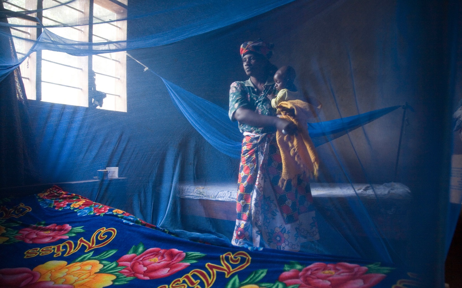 Malaria - Eradication, Prevention, Through Innovation & Data | Bill ...