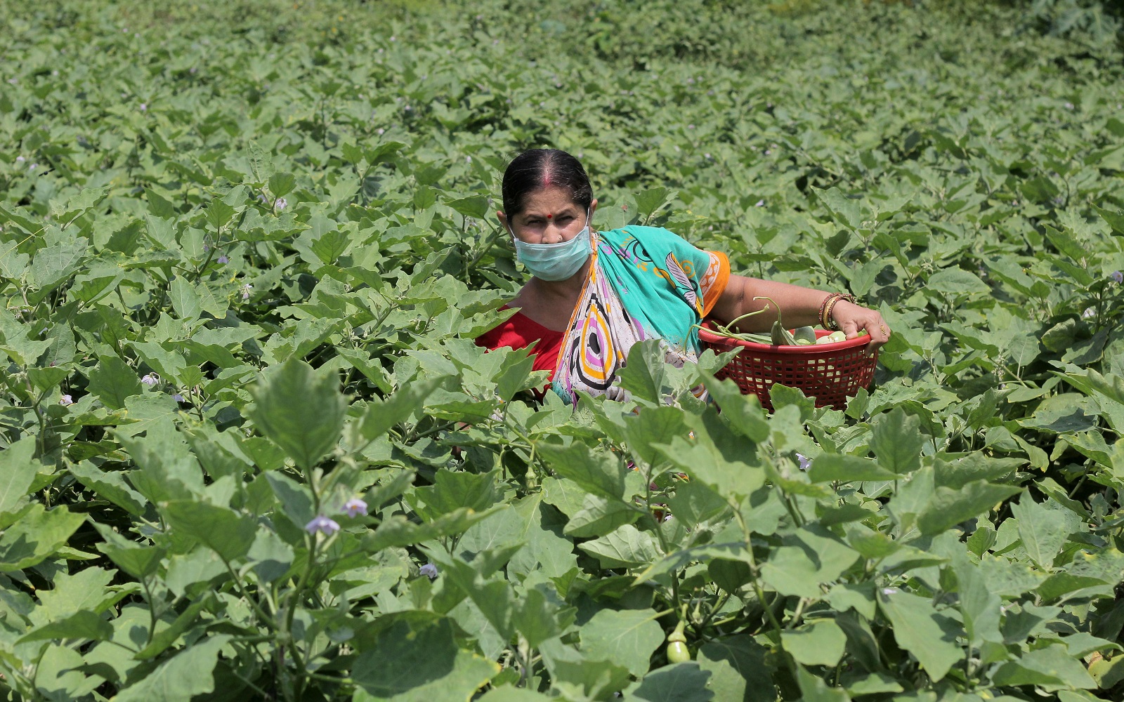 How We Can Economically Empower Informal Women Workers | Bill & Melinda ...
