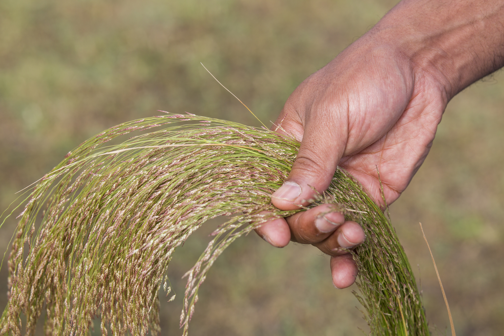 A Global Food Crisis Was Sparked By the Ukraine War | Where Things ...