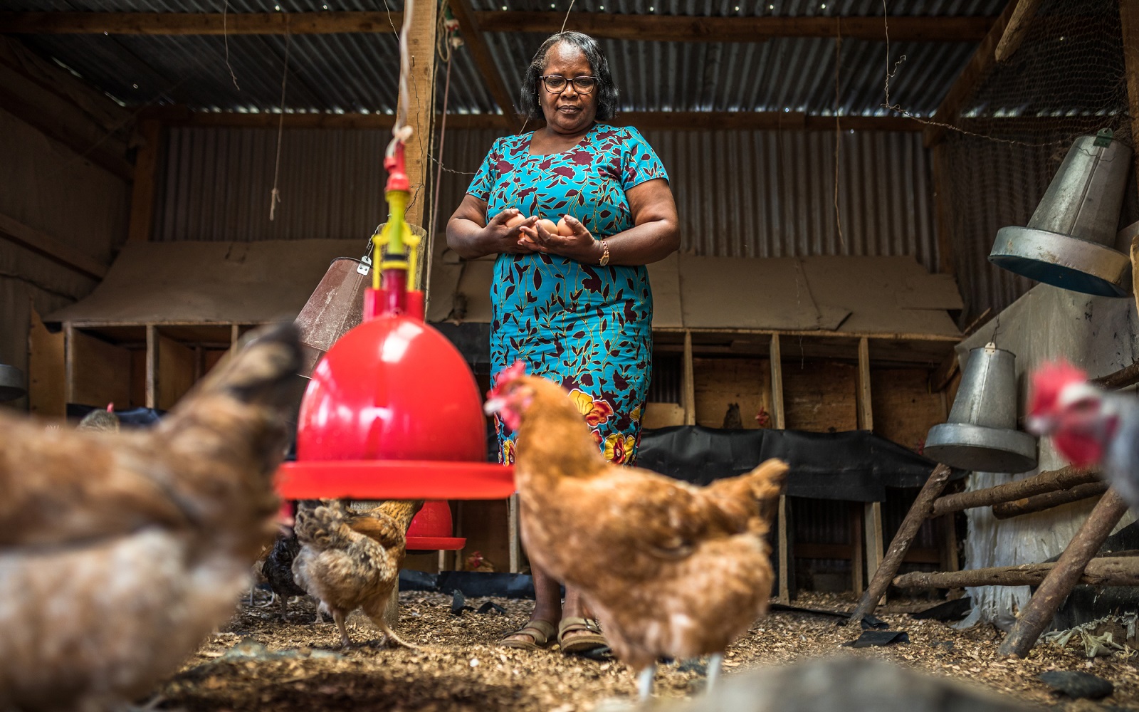 Climate adaptation: Ensuring agricultural resilience in a climate ...