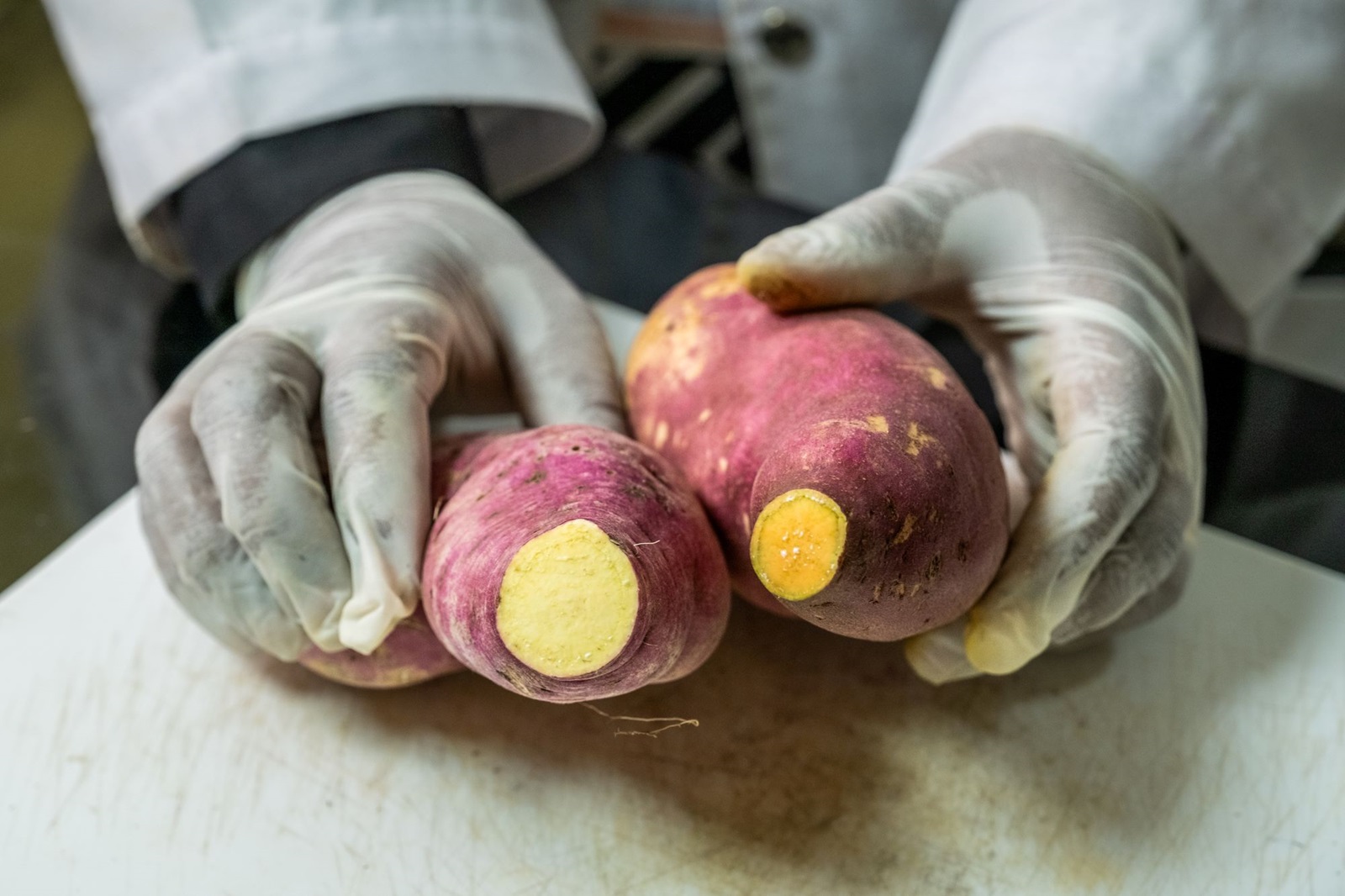 The Climate-Resilient Crop Helping African Farmers Respond to Climate ...