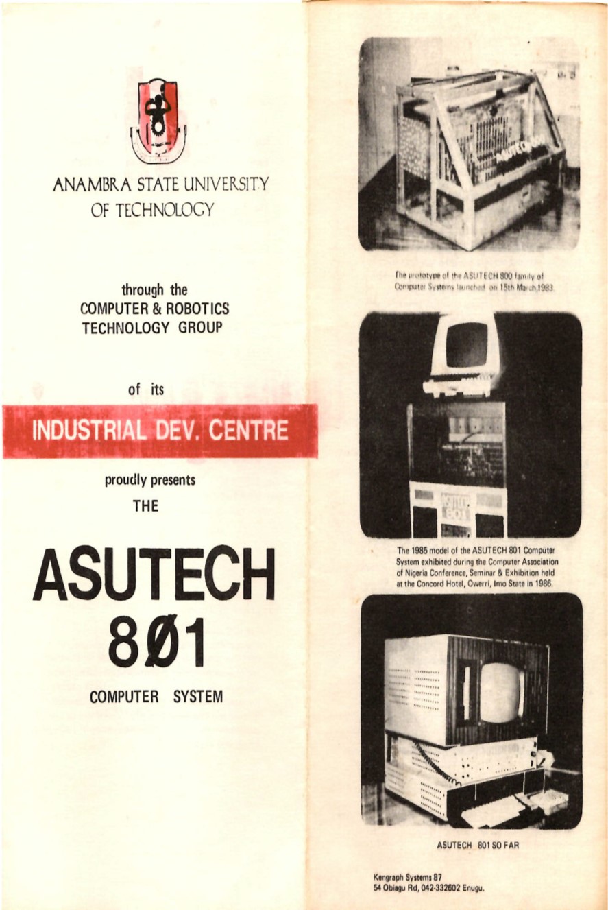 How Nneka Mobisson Expanded Healthcare & AI Access in Africa Out of ...