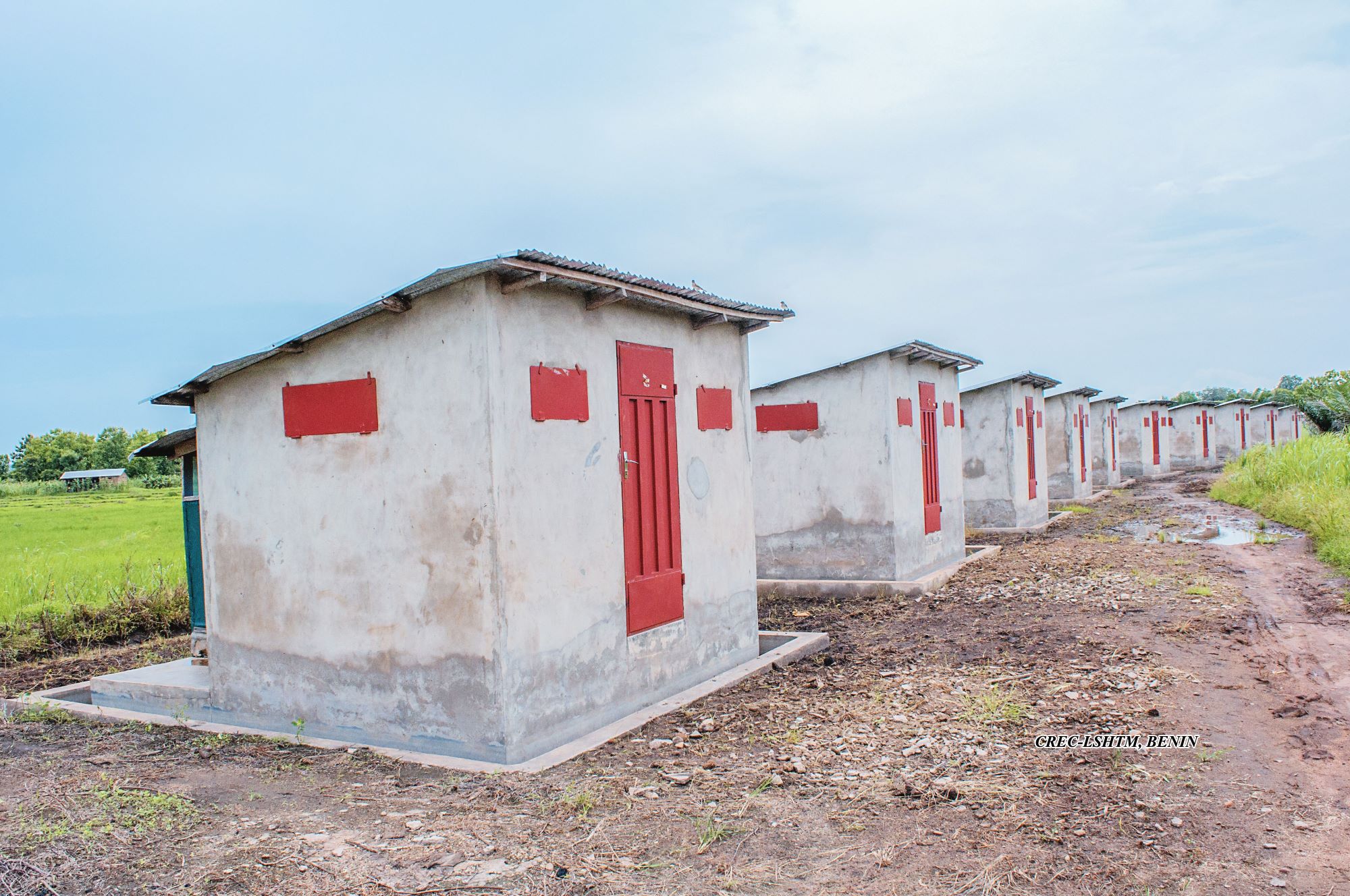 How a Scientist Found a Cost-Effective Way to Exterminate Mosquitoes