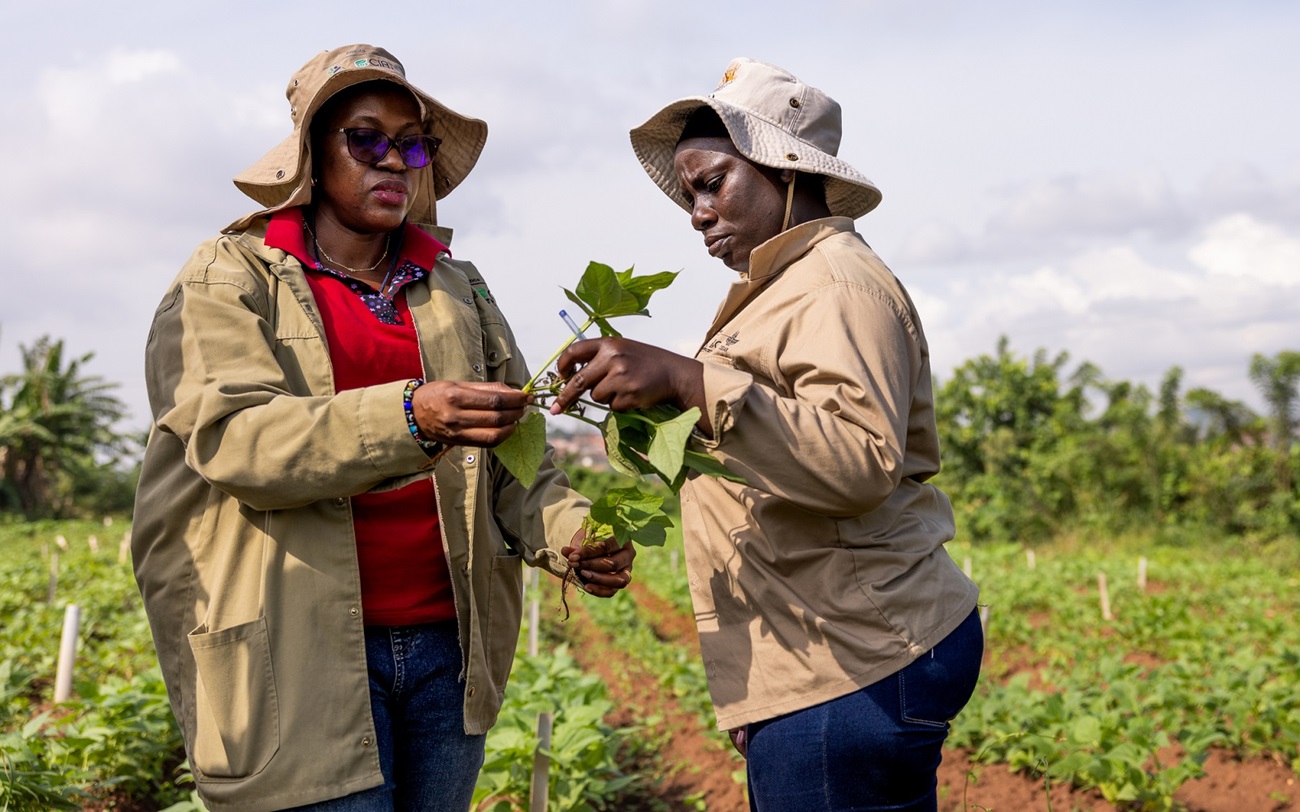 Global Agricultural Development - Investing in Transformation and ...