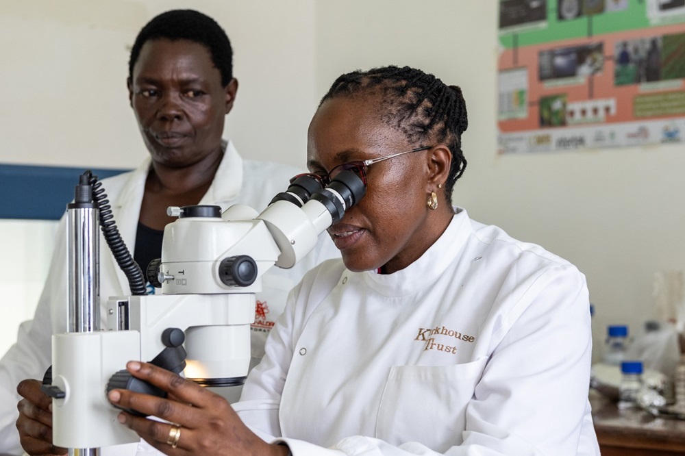 Building Climate Resilient Family Farms with Better Beans