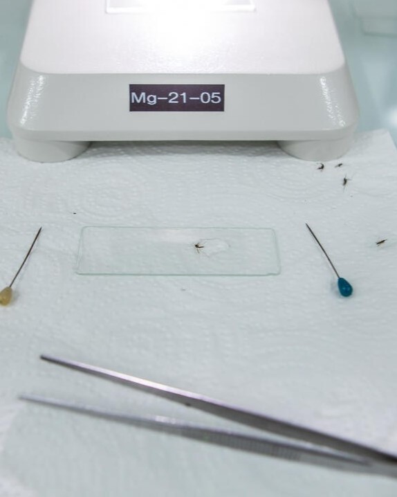 Malaria’s Biggest Threat: Making a Better Mosquito Net