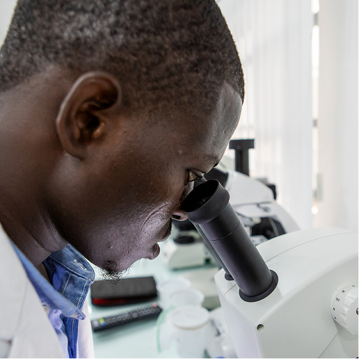 The New Mosquito Net That’s Fighting Malaria and Winning