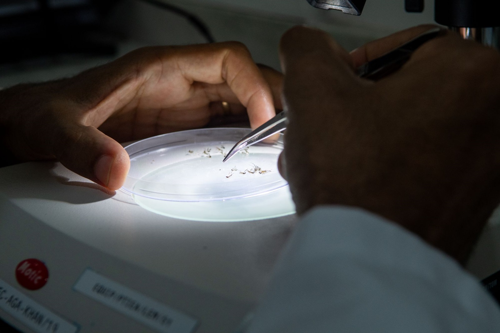 Cabo Verde Eliminated Malaria - What the World Can Learn