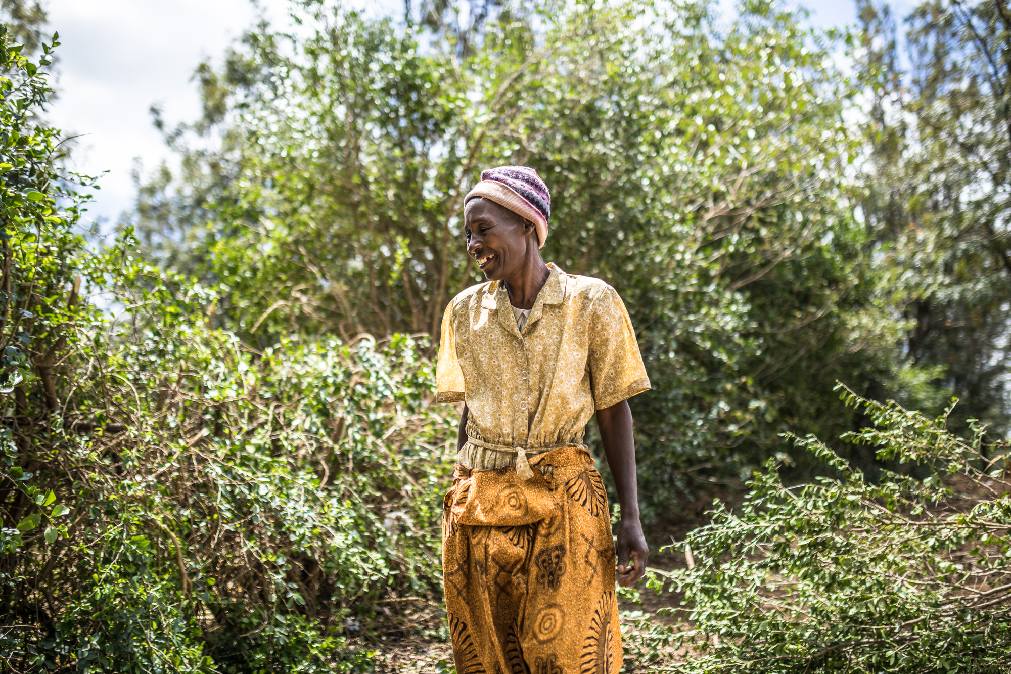 Climate adaptation: Ensuring agricultural resilience in a climate ...