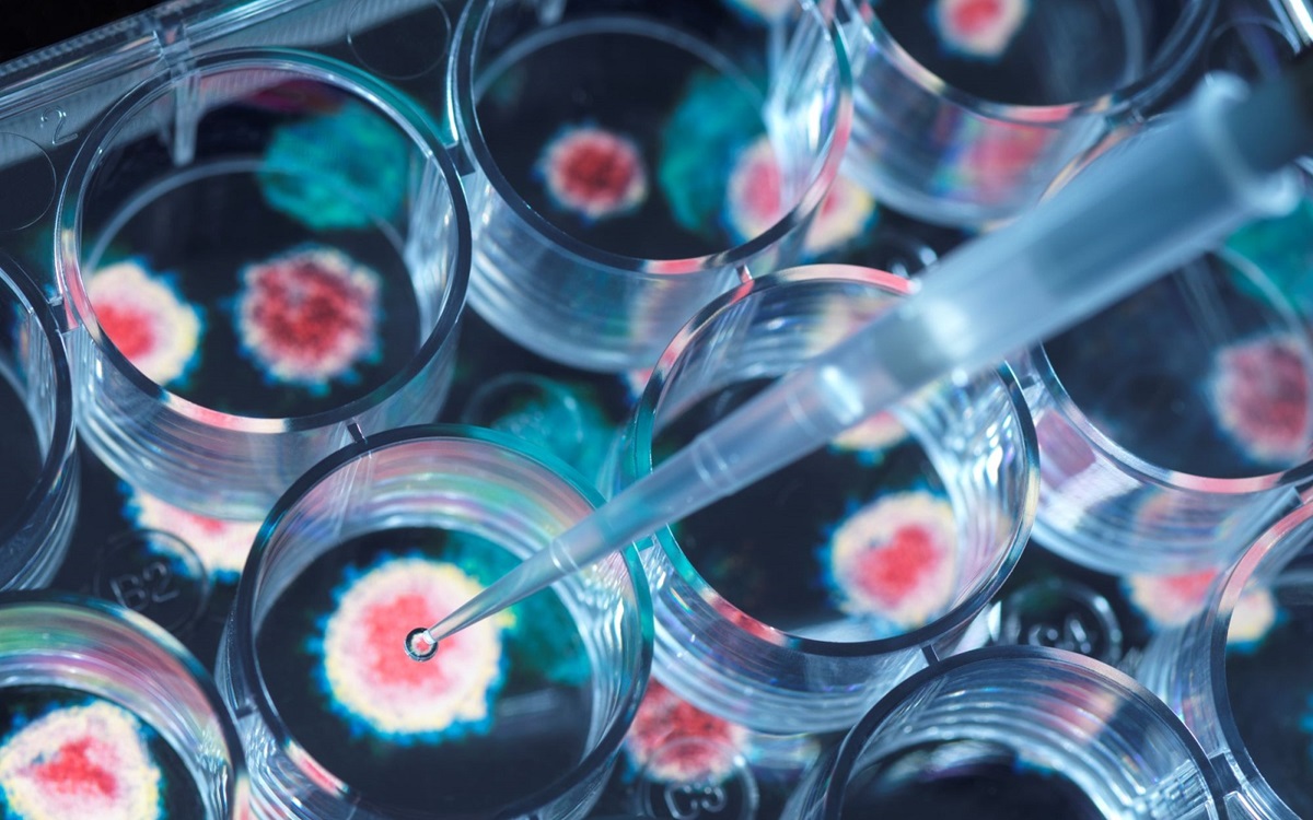 Health and Science Innovations