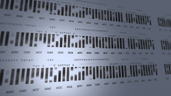 Timeline: What will health care look like 20 years in the future?